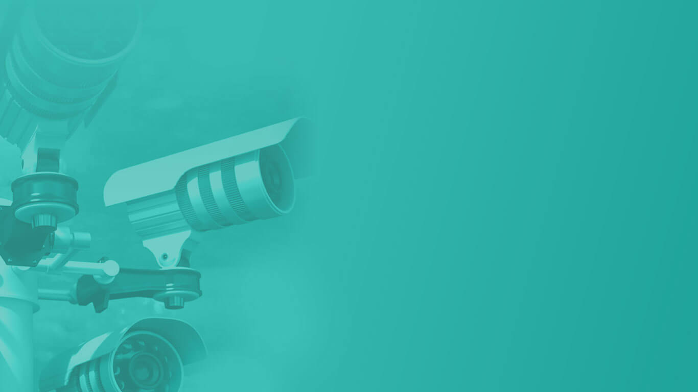 Web Solutions | Info Systems | Security Solutions | Pixel8